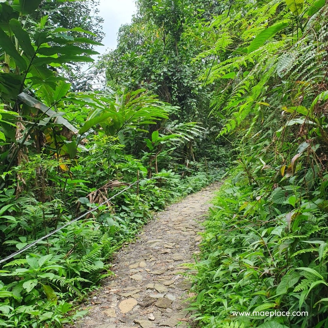 Situ Gunung Suspension Bridge : The Long And Winding Bridge - MAEPlace