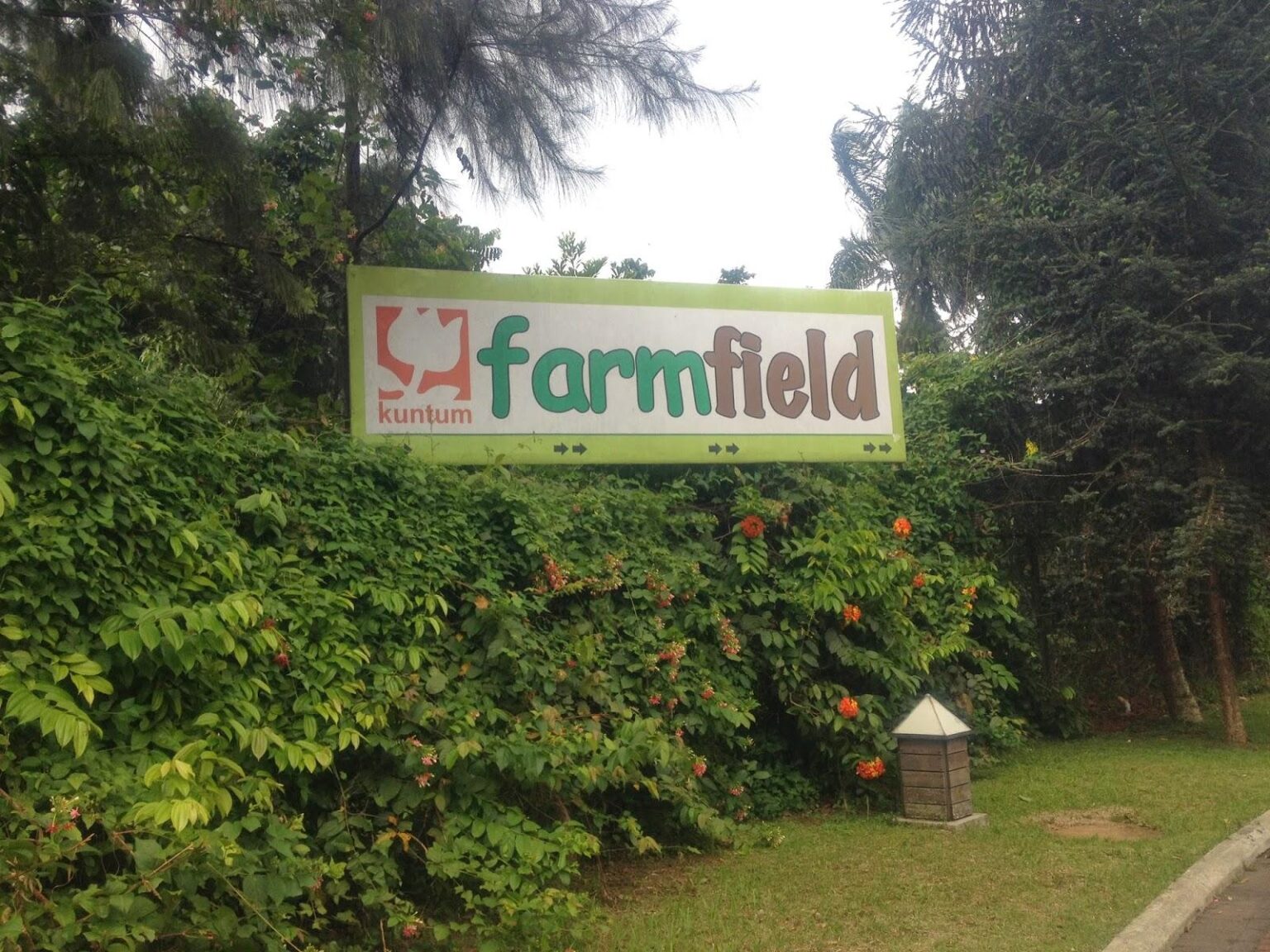 Kuntum Farmfield, Pengalaman Farming seperti di Harvest Moon - MAEPlace