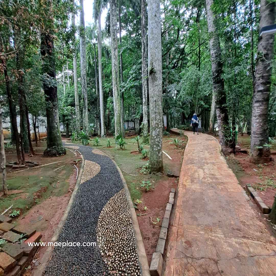 Taman Kota 1 BSD, Area Hijau di Tengah Kota Tangerang Selatan